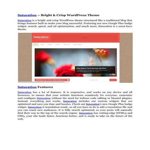 Simpleton lightweight & minimalist wordpress theme | PDF