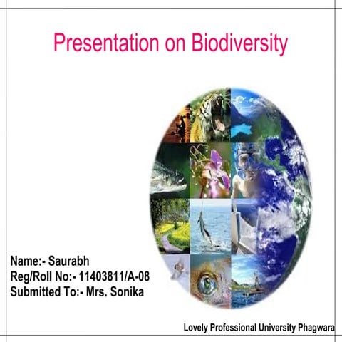 BioDiversity | PPT | Geography | Science
