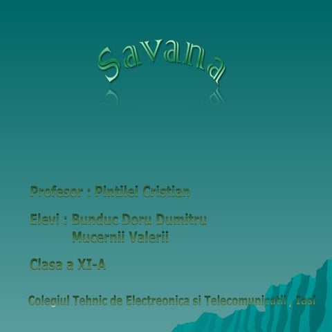 Mediul temperat oceanic 11 c | PDF