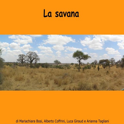 La Savana | PPT