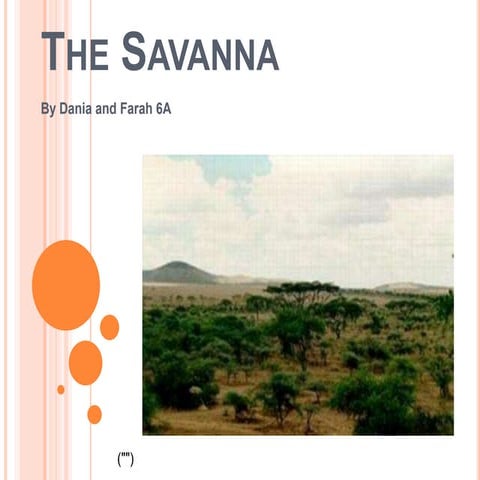 Savanna | PPTX