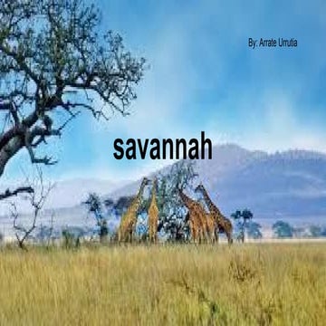 Savanna | PDF