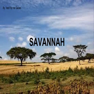 Savannah | PDF | Africa Travel | Travel Locations