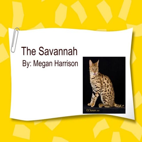 Savannah Powerpoint W200 | PPT