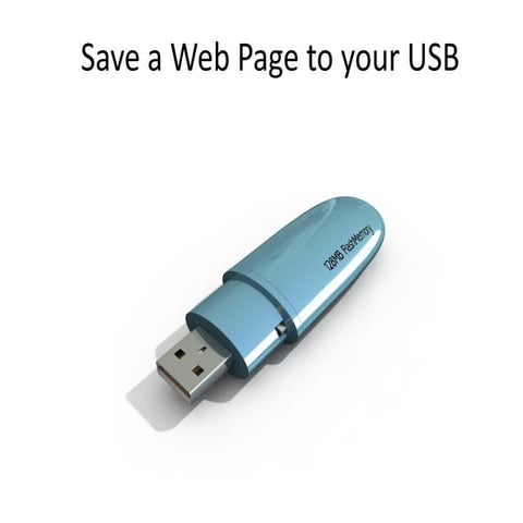 Save a web page to your usb | PDF
