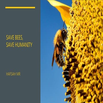 Save bees, save humanity | PPTX