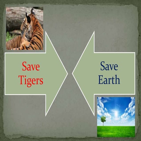 Save Earth Save Tiger | PPTX