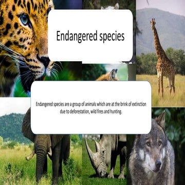Endangered species | PPTX