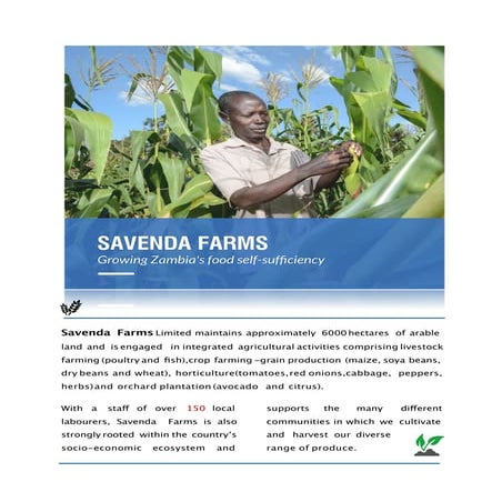 Savenda Farms.pdf
