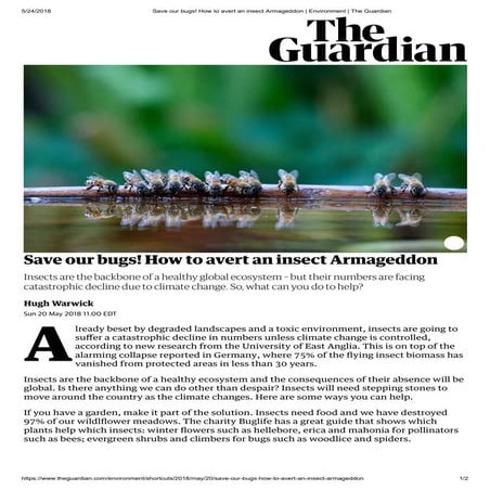 Save our bugs! how to avert an insect armageddon | PDF