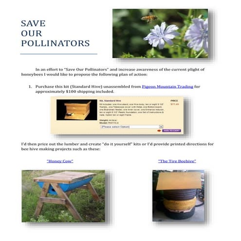 Save Our Pollinators (WORD 2010) | DOCX