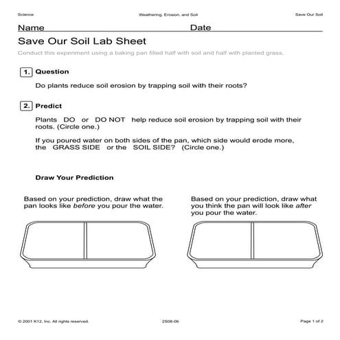 Green eggs and ham activities | PDF