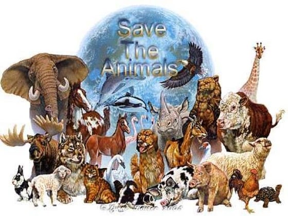 save animals | PPT