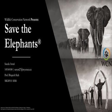 Save the Elephants | PPTX