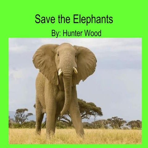 Save the Elephants by Hunter | PPT | Zoos & Aquariums | Attractions
