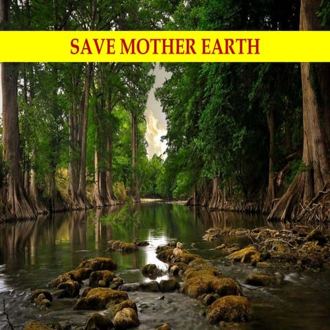Save the nature project file from iran | PPT