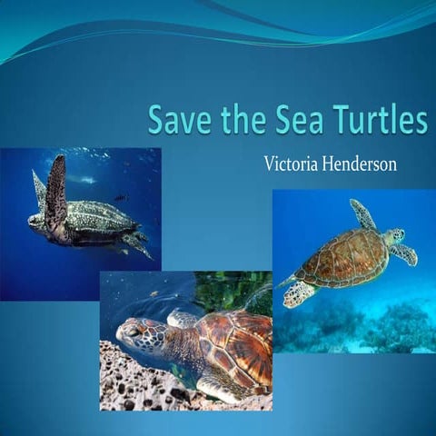 Save The Sea Turtles | PPT