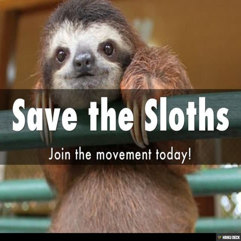Save The Sloths!!! | PPT