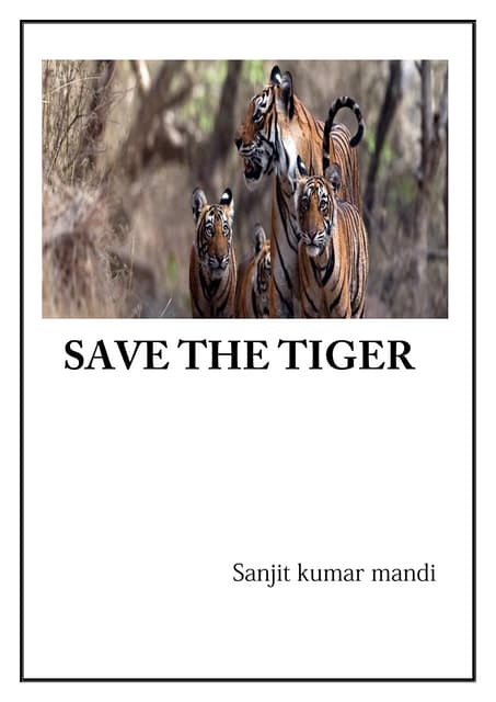 Aircel - WWF Tiger Conservation Initiatives (Part I) | PPT
