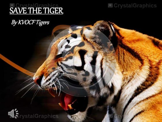International Tiger Day | PPTX | Biological Sciences | Science