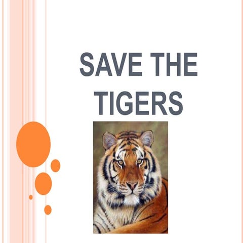 Save the tigers | PPTX