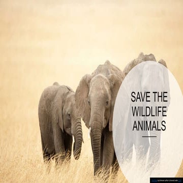 Save the wildlife | PPTX