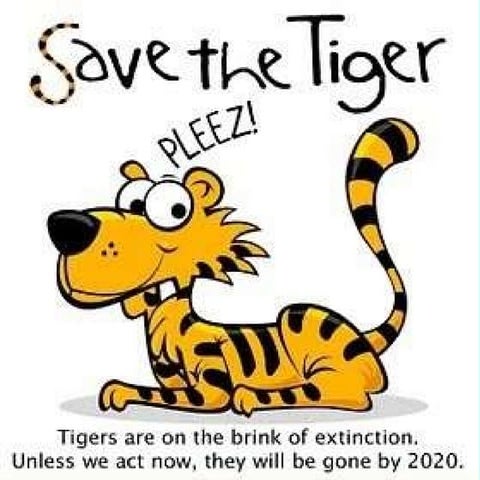 Save tiger | PPT