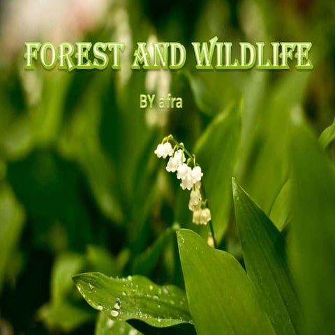 Save wildlife and forest | PPTX