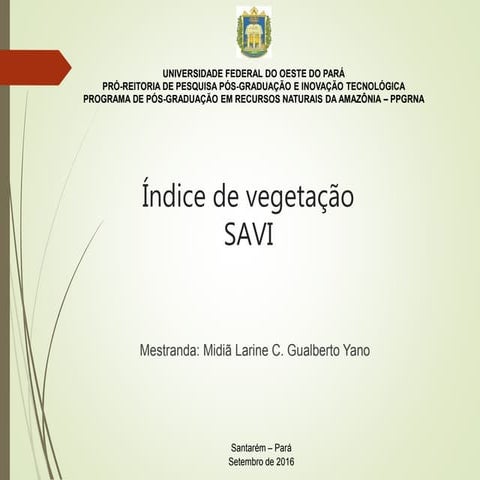 Soil Adjusted Vegetation Index (SAVI) | PPTX