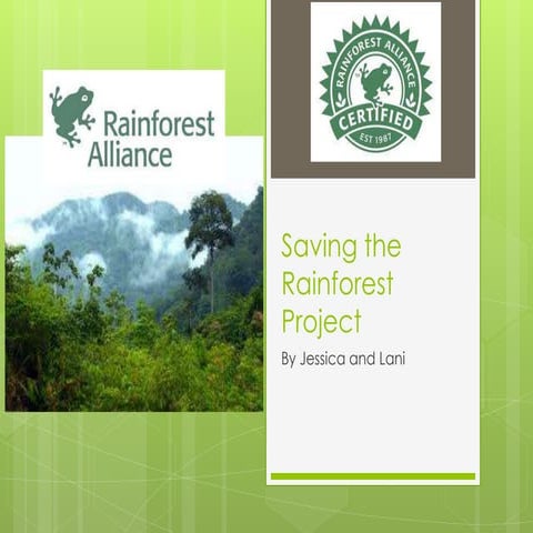 Saving the rainforest project | PPTX