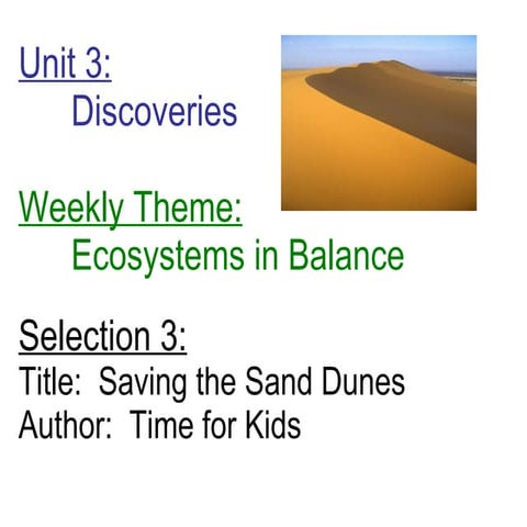 Saving the Sand Dunes Focus Wall | PPT
