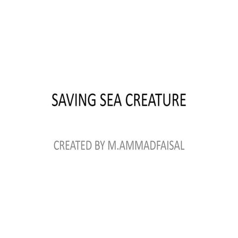Saving the turtle | PPT