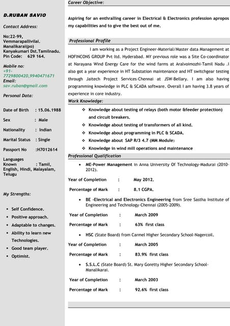 Johan resume 2016 | PDF