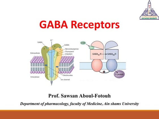 neurotransmitter gaba | PPTX