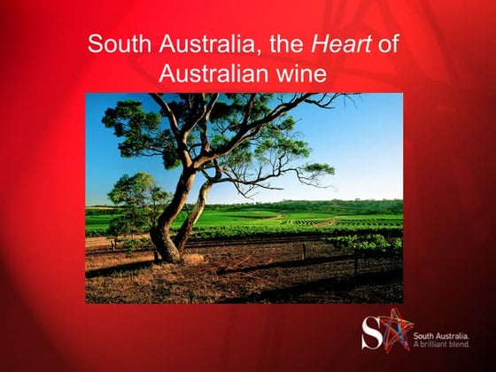 Discovering Lauterbrunnen. Switzerland | PDF