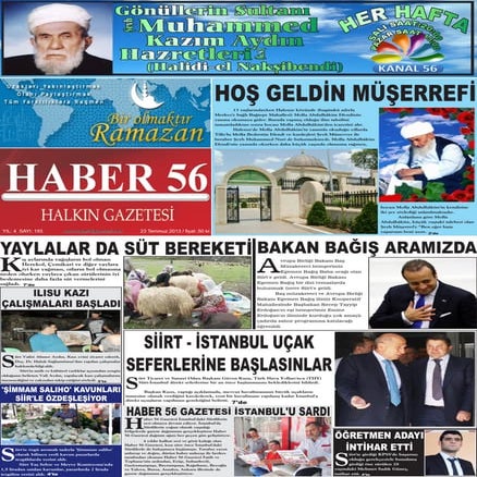 Sayfa 1 | PDF
