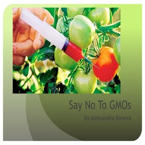 Say No To GMOs | PPTX