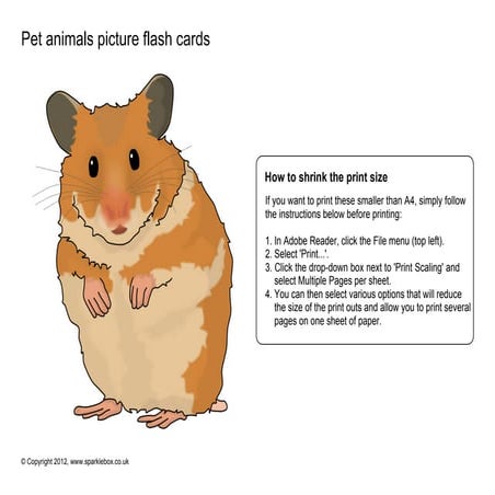 Pet animals flash card printable and big | PDF