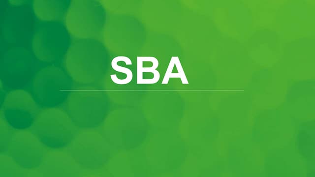U.S. Small Business Administration Overview | PPTX