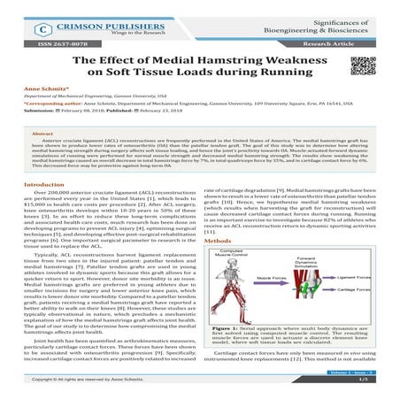 Crimson Publishers- The Effect of Medial Hamstring Weakness on Soft ...