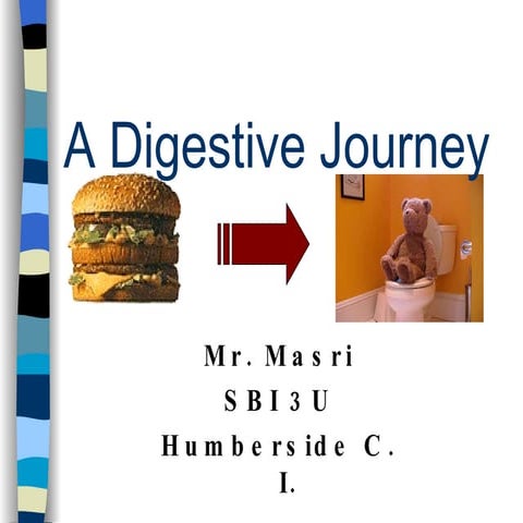 SBI3U Digestive Tour | PPT