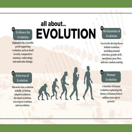 SBI3U Unit 3 All About Evolution Posters | PPT