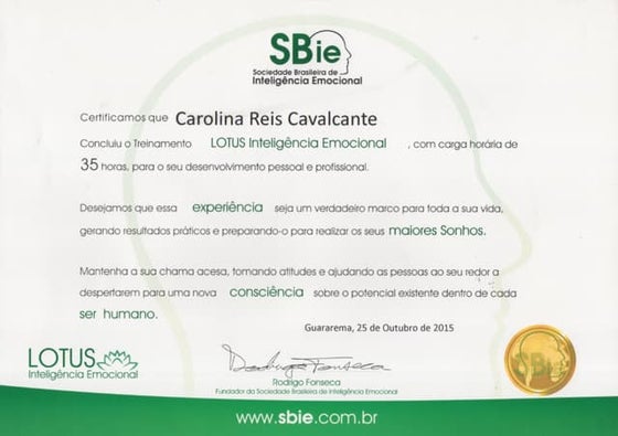 Certificado Hamburgada do Bem | PPT
