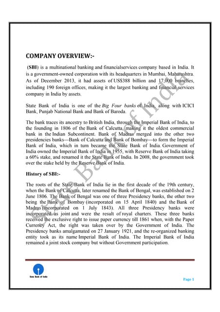 SBI Introduction | PPTX