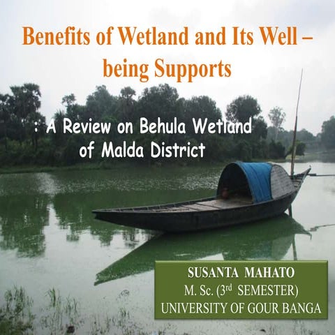 Benefits of Wetland and Its Well -being Supports: A Review on Behula ...