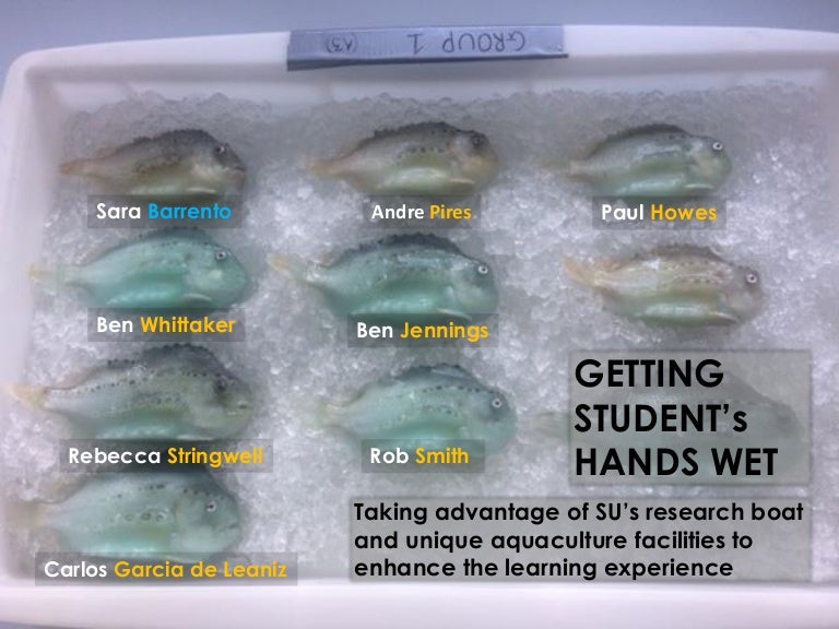 2017 The 9th Annual SALT Learning and Teaching Conference – Swansea U…