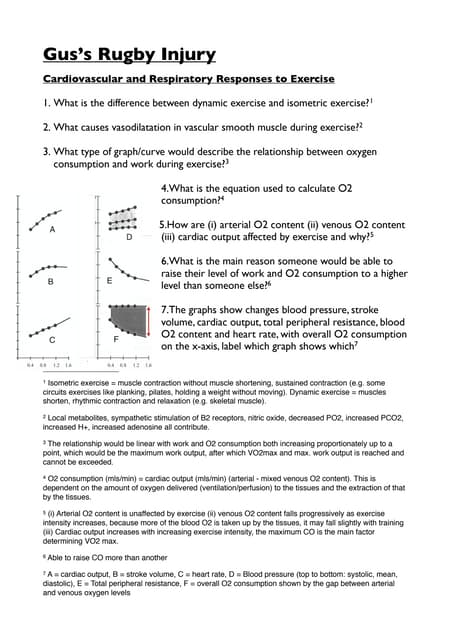 Muscles of the lower limb | PDF | Death, Injury, or Military Conflict ...
