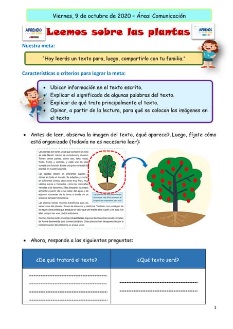 Utilidad de las plantas | PPT