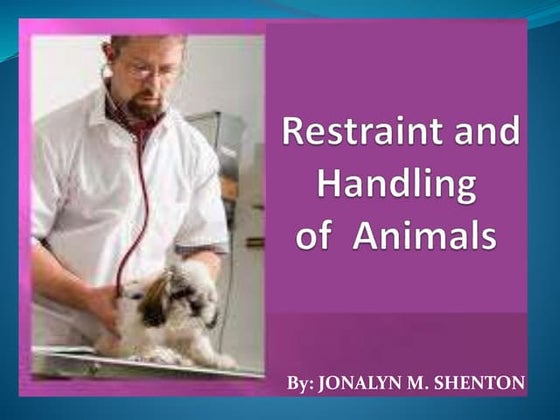 Animal handling & Restrain | PPTX