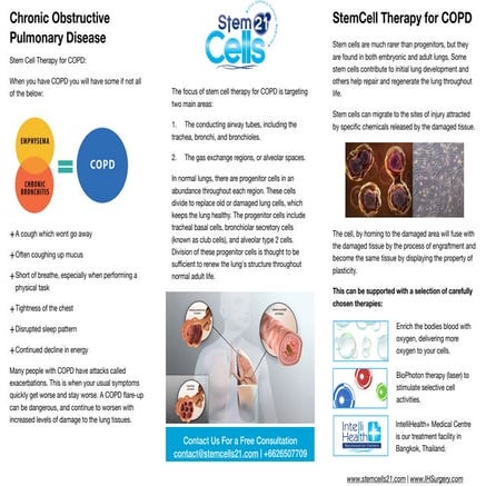 COPD Stem Cell Therapy | PDF